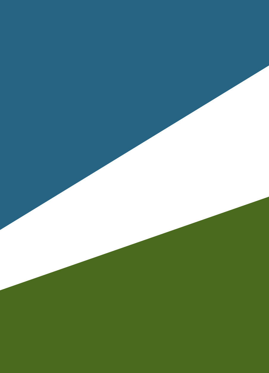 Custom Hair Color for Men - Colorsmith